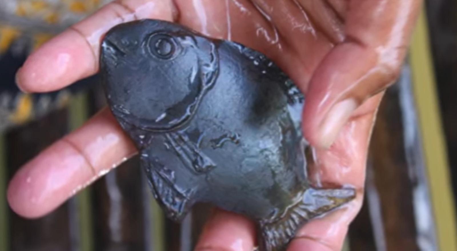 Peștele de fier: O invenție care salvează viețile a mii de copii ...