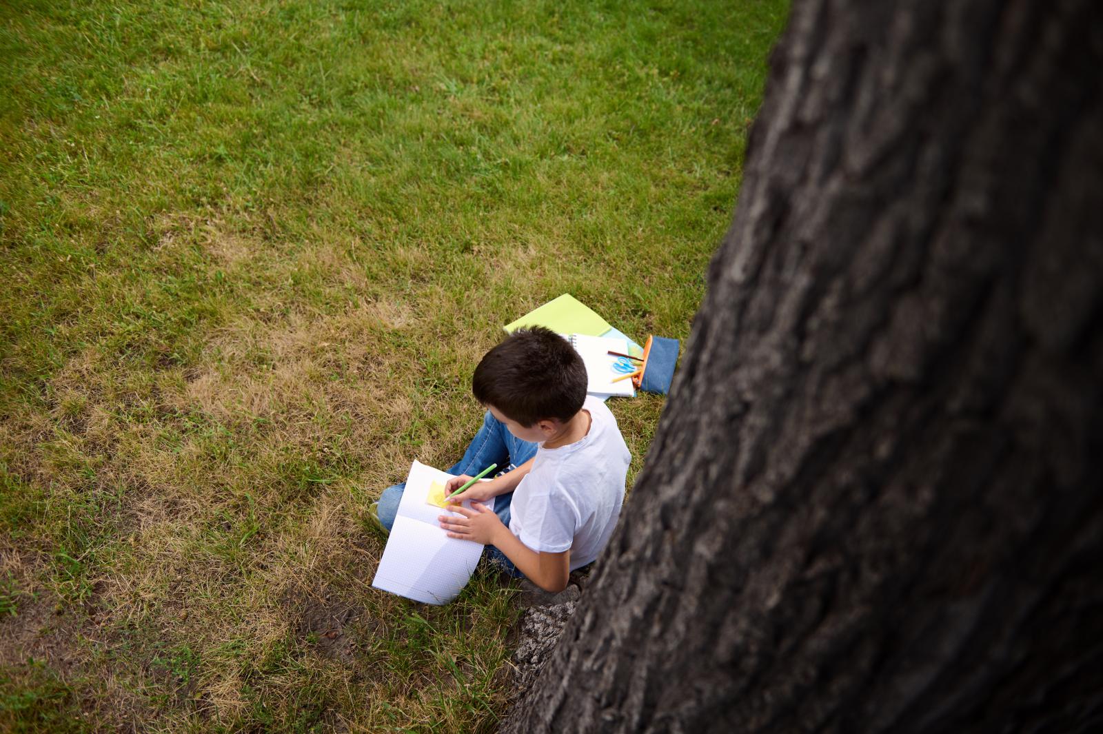 Testul „Arborelui”. Descoperă aspecte ascunse ale personalității ...
